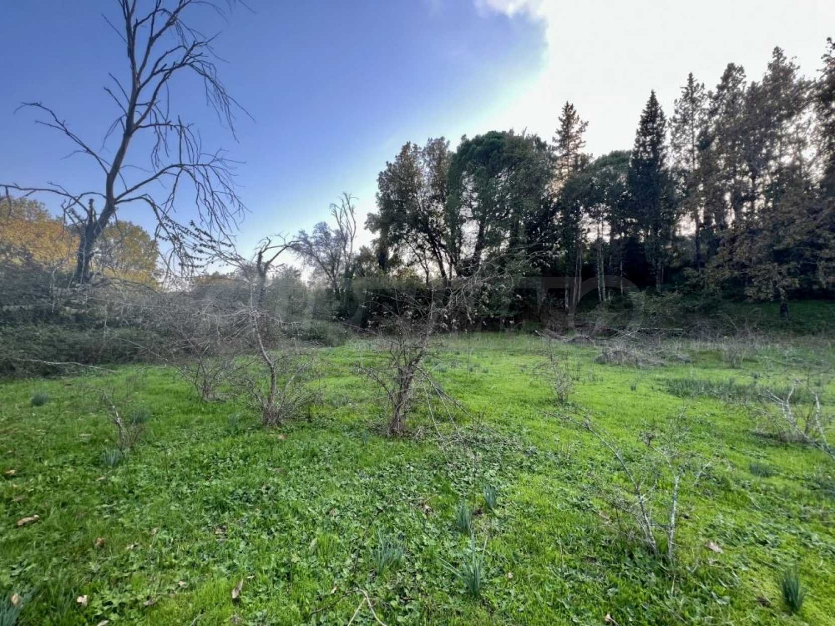 Земя за продажба в ️ 4000 м² ️ Виж цената ️ 111014 — Suprimmo.bg